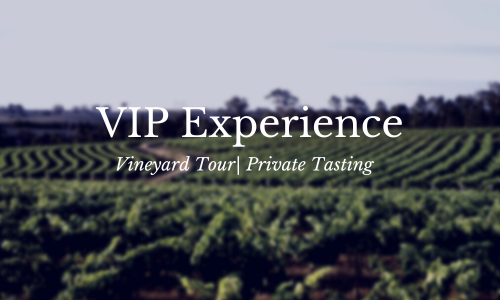 Local Events at Shady Lane Cellars | Leelanau Peninsula